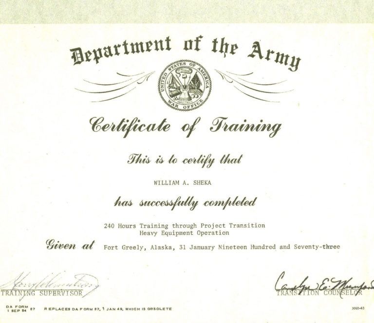 Free Army Certificate Of Training Template Natashamillerweb Army ...
