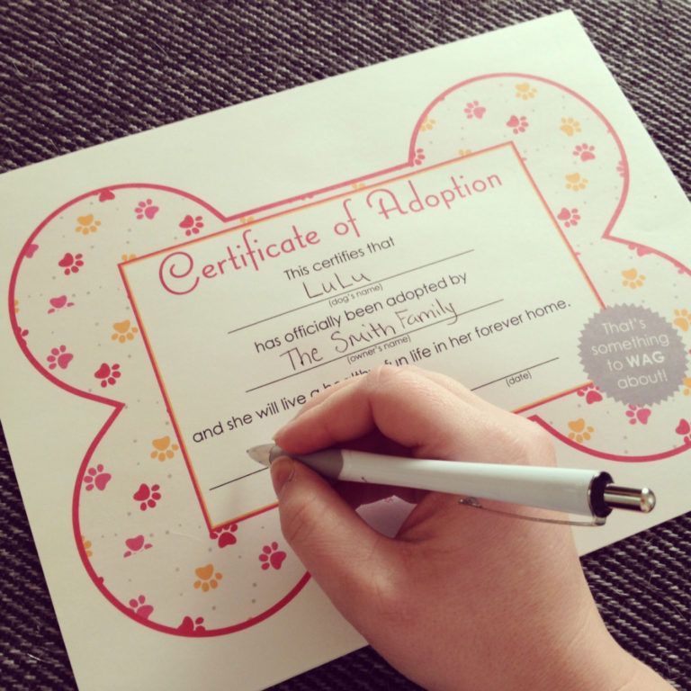 Free Printables} Dog Adoption Certificates Big Dot Of Adopt An Animal ...